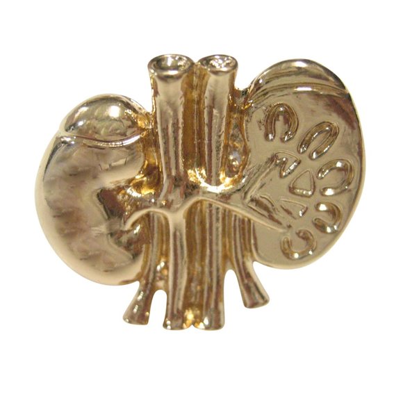 Kiola Designs | Jewelry | Gold Toned Anatomical Medical Nephrologists ...